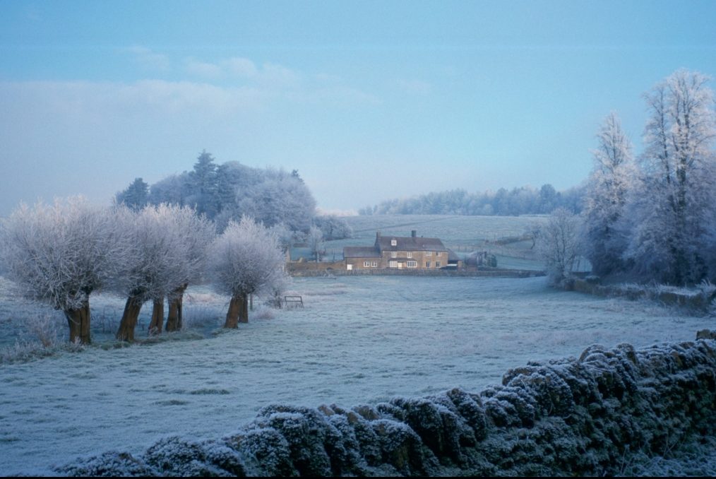The birth of Modern Man: RARE SUMMER FROSTS SWEEP THE UK AS RECORD JUNE ...