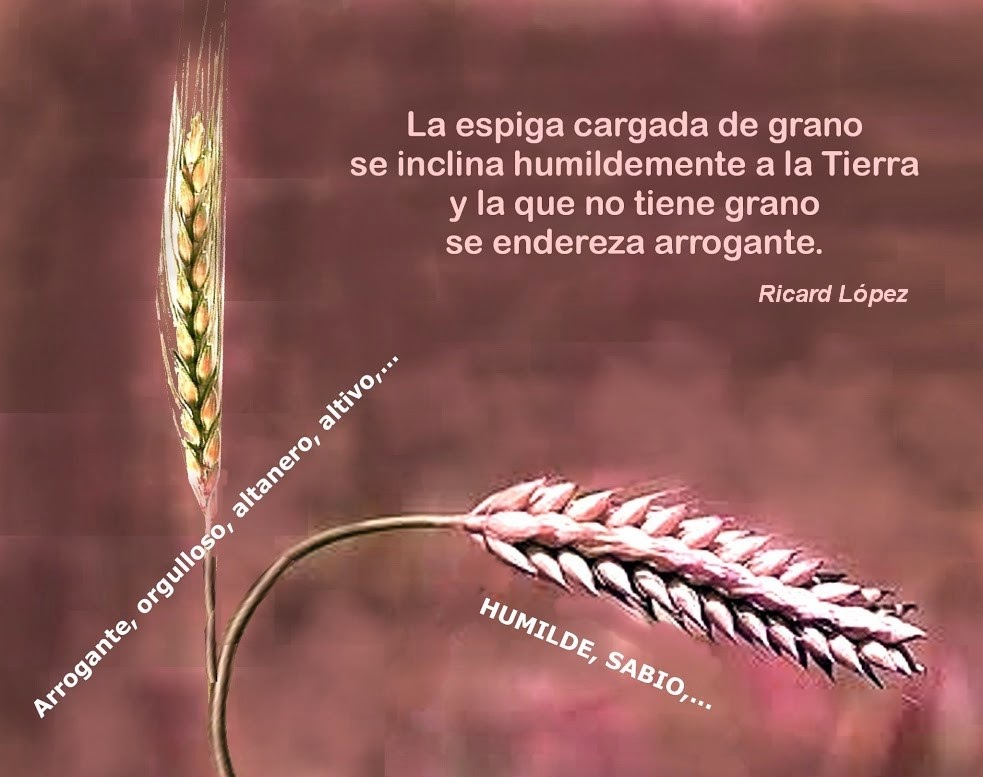 Hogar Naturaleza y Ciencia: SOBRE LA ARROGANCIA Y LA HUMILDAD