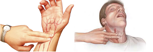 Definición de pulso: