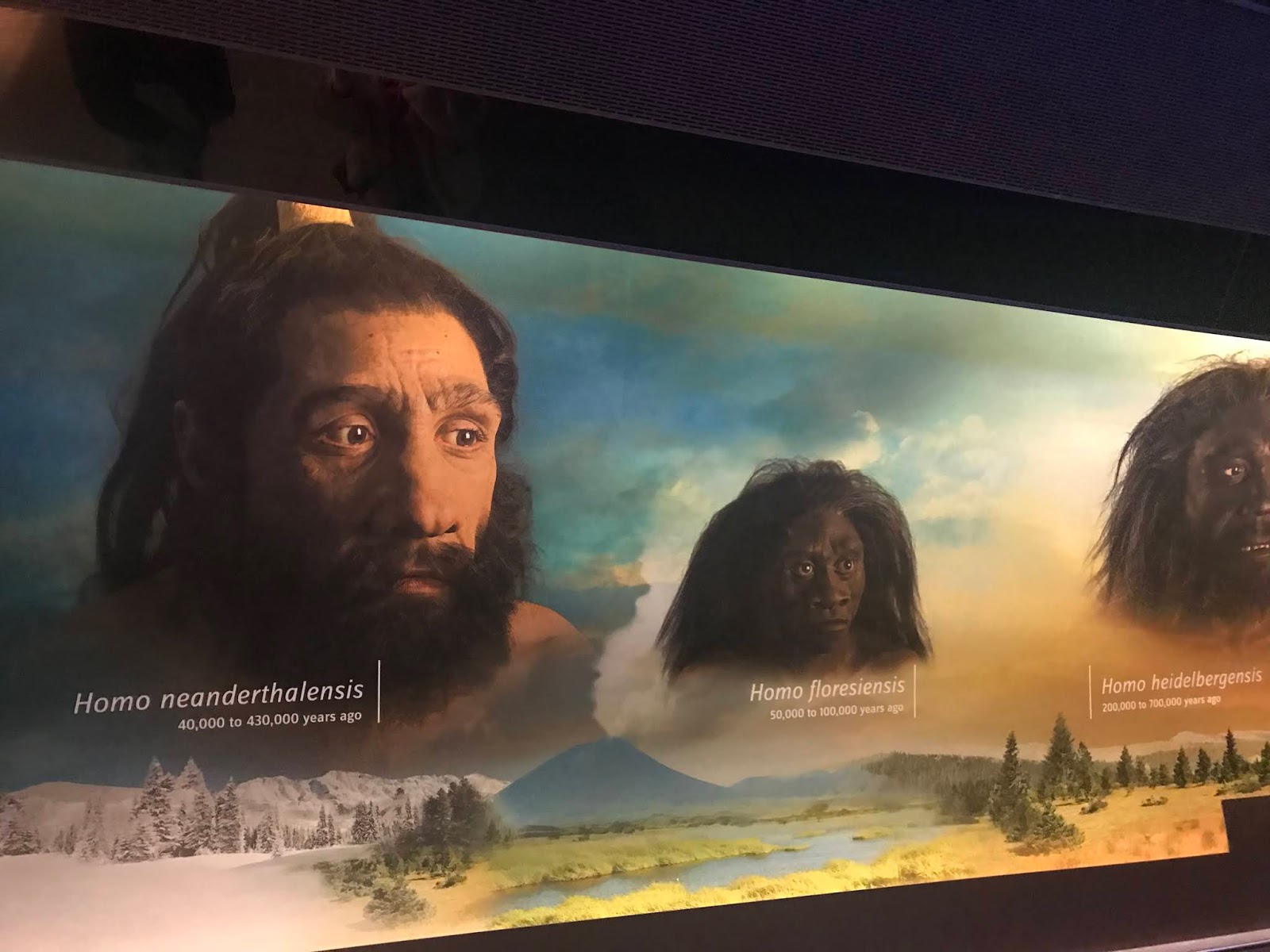 A Day in The Life of a Neanderthal