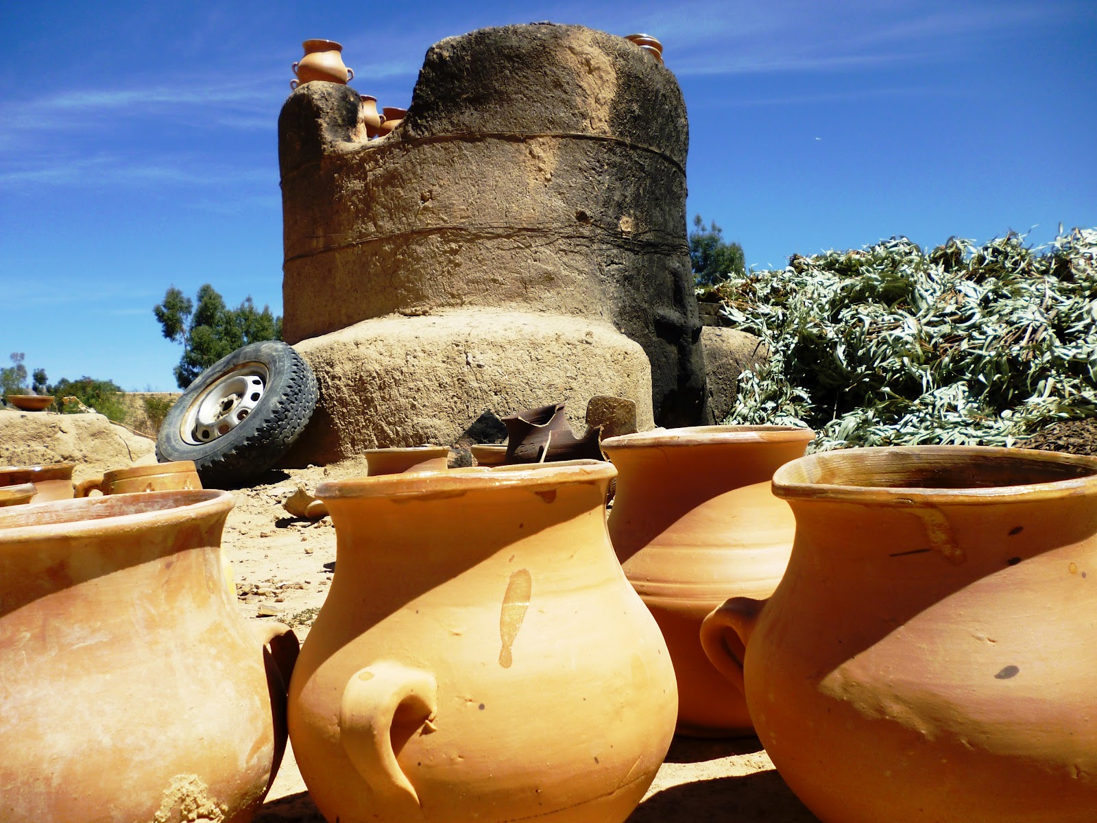 AYOPAYA TOURS /BOLIVIAN ADVENTURE