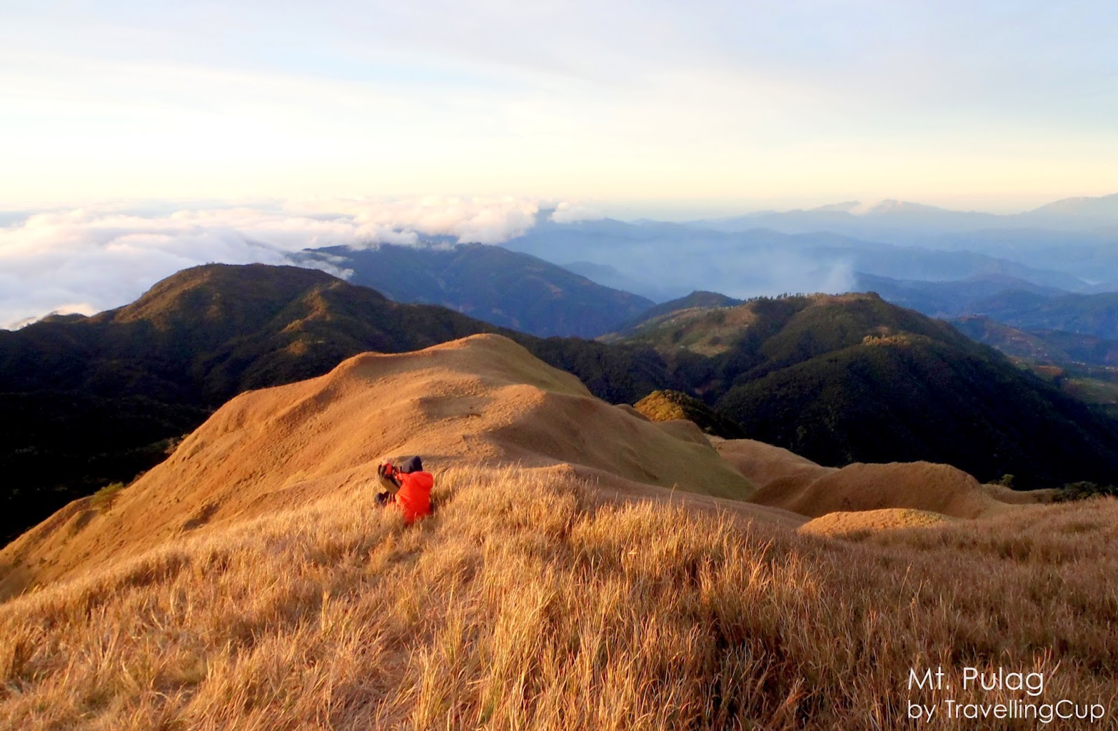 Mt. Pulag and the Sea of Clouds