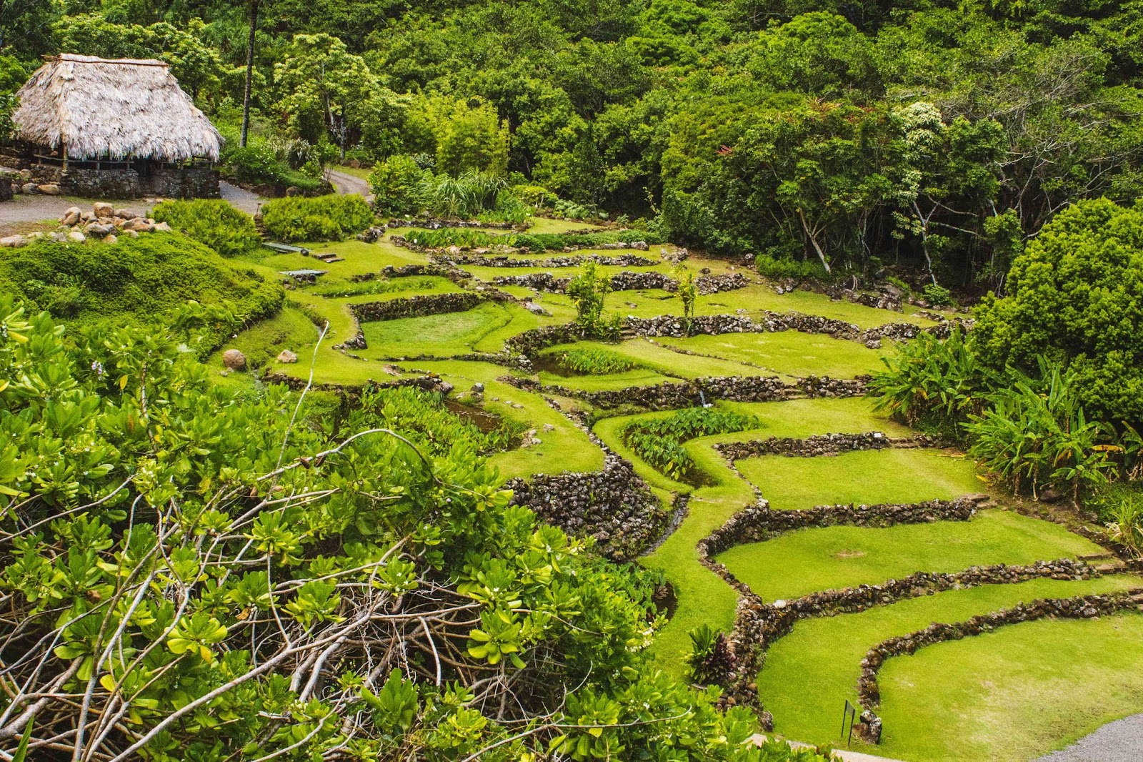 Menguak 1001 Jenis Terasering yang Belum Anda Tau, Apa Saja Itu? - Lim ...