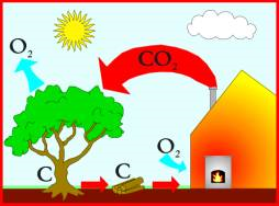 Wetenschap & Development: Wetenschap