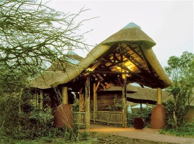 Ubizane Wildlife Reserve: A Walk Down Safari Lodge Memory Lane...