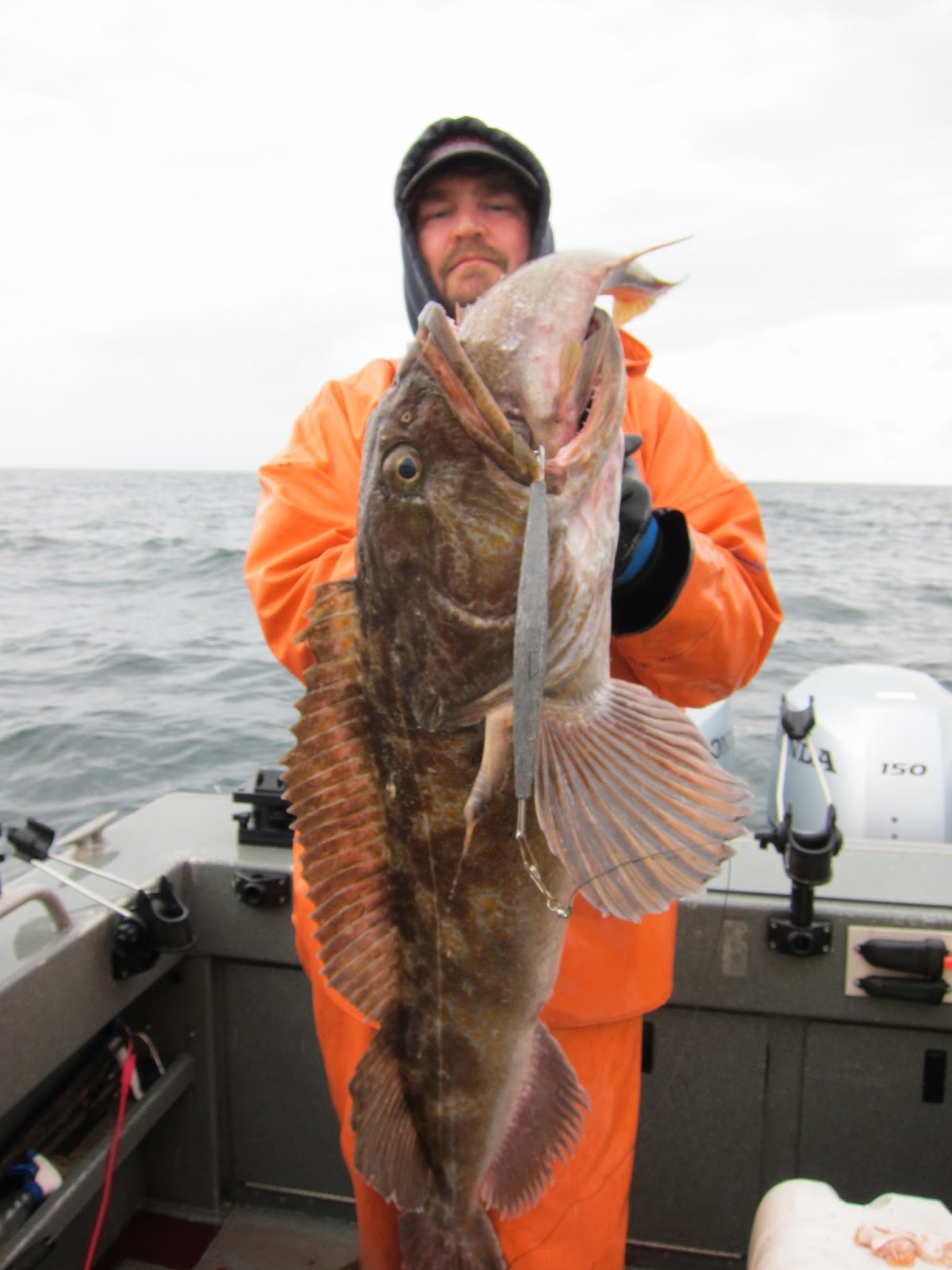 Todds Extreme Fishing: Giant Halibut, Big Lingcod, and lots of bottom ...
