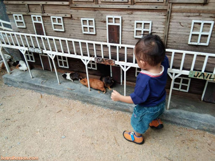 Windmill PD Farm, Tempat Menarik Baharu di Port Dickson