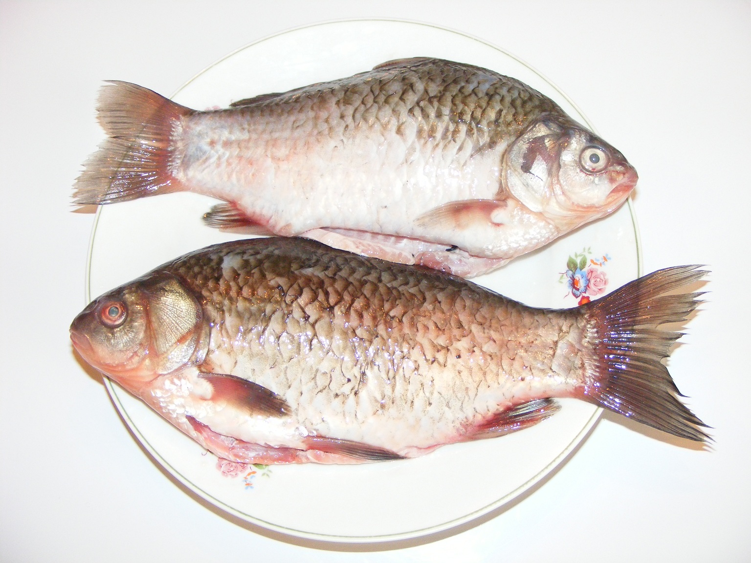 Caras la gratar | Preparatedevis.ro