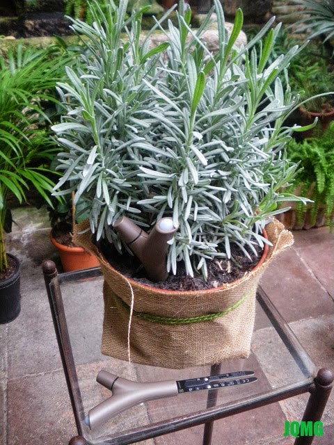 PARROT FLOWER POWER O EL JARDIN 2.0 – Jardines Que Me Gustan