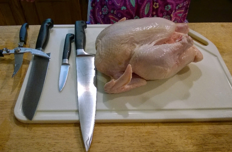 Inbetween Homestead: The Cheepah Chicken