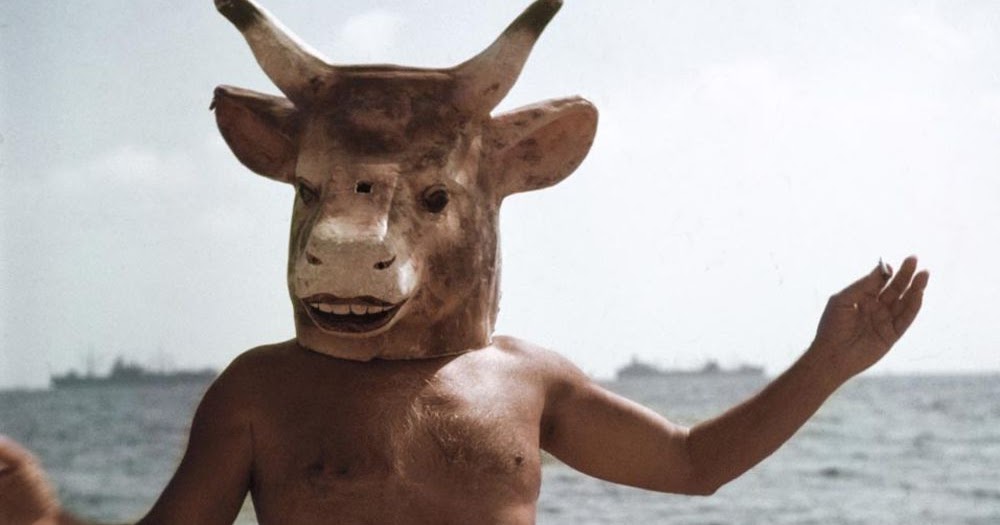 Half Man, Half Bull: Ridiculously Interesting Photos of Pablo Picasso ...