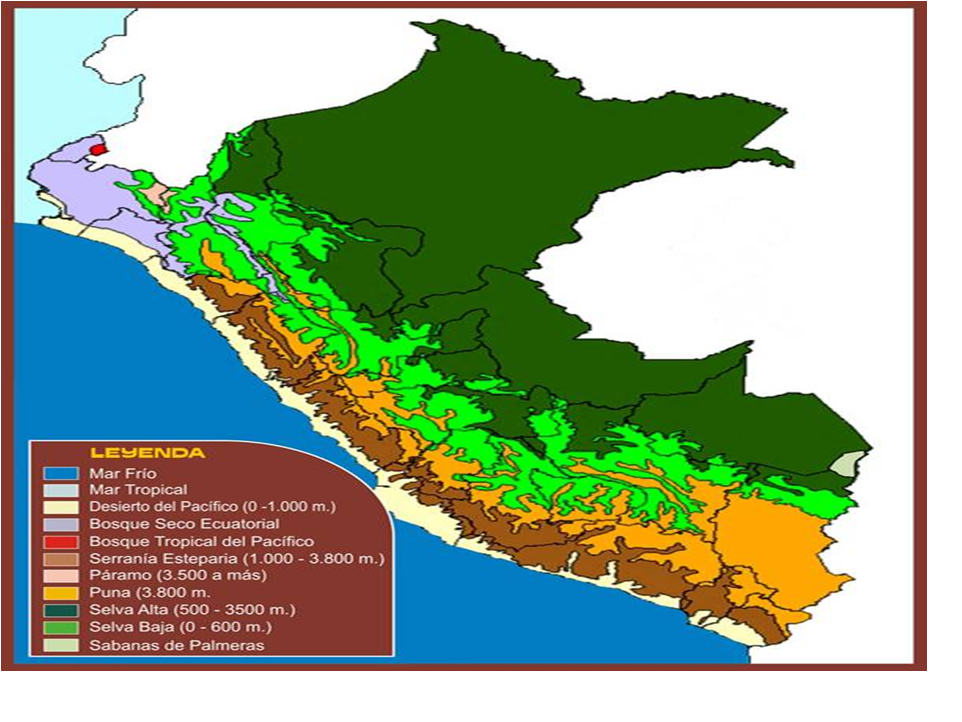 FLORA Y FAUNA: FLORA Y FAUNA DEL PERU
