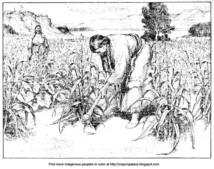 Indian Corn Coloring Page