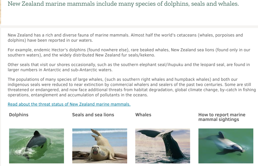 Scarlett South Hornby Primary Save Sea Animals scarlett-south-hornby-primary-save-sea-animals