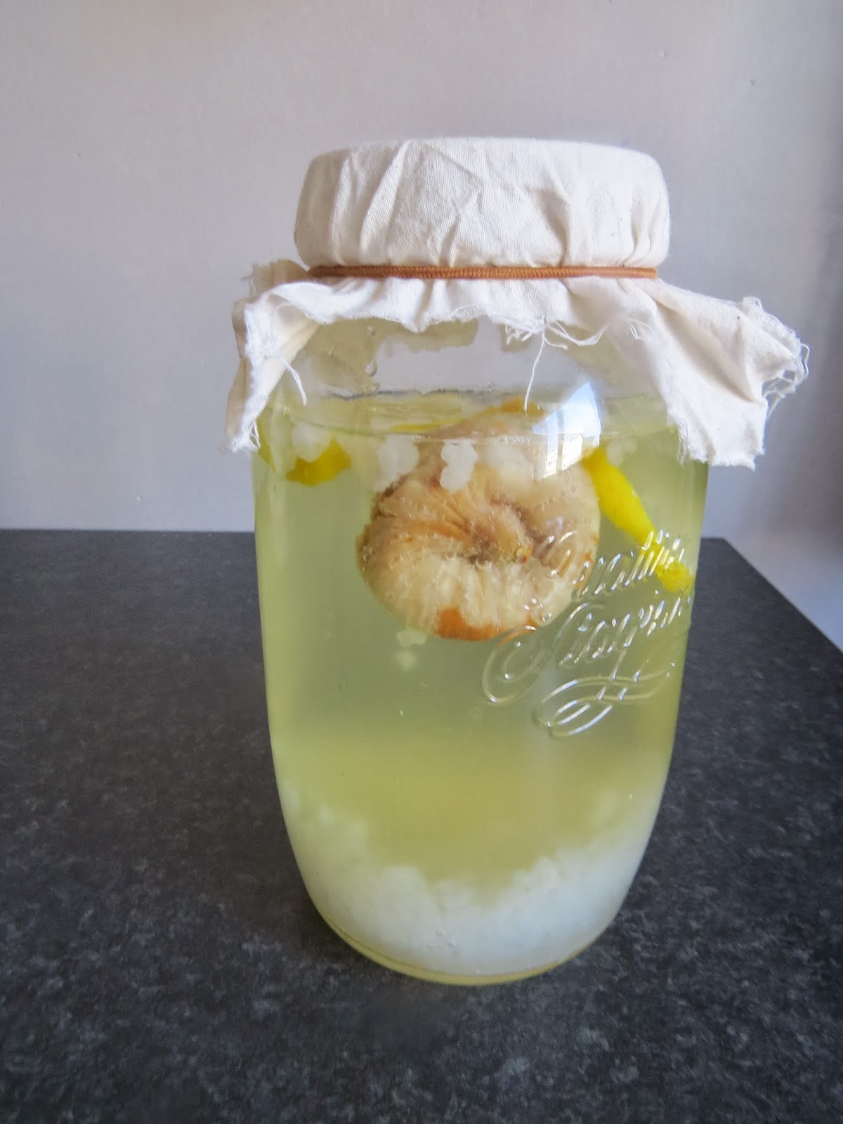 BIOTYTILLE: Le Kéfir de fruits.