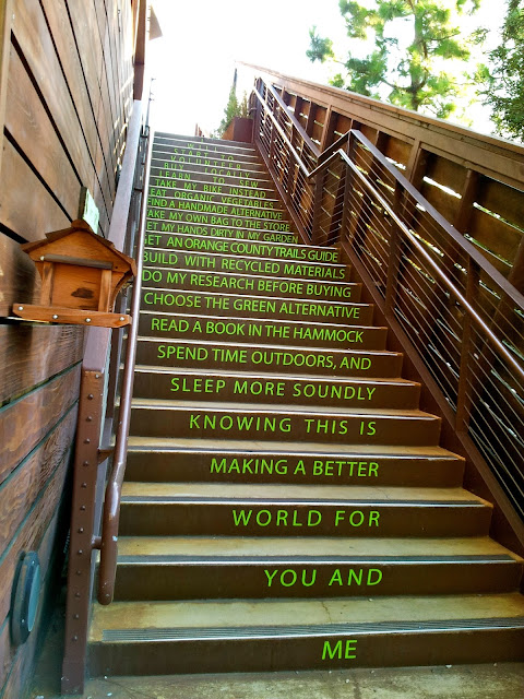 The Camp X The Lab | Through Our Senses