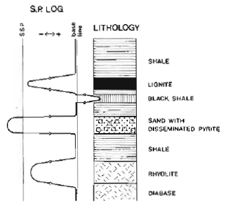 Interpretasi Well Log (bagian 3) - SP Log ~ Blog Dwi Noviyanto