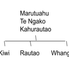 Hauraki Iwi History
