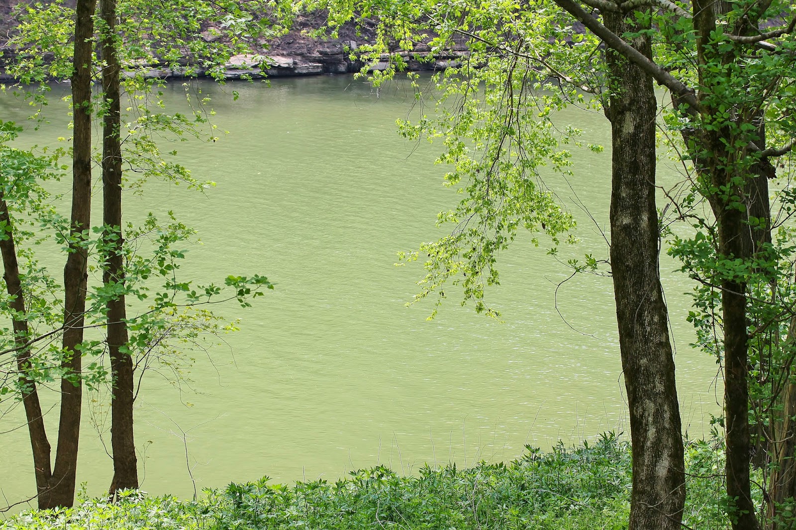Blue-Eyed Kentucky: April on the Kentucky River