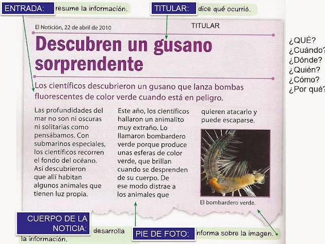 Español Octavo: Textos informativos: definición, tipos y características