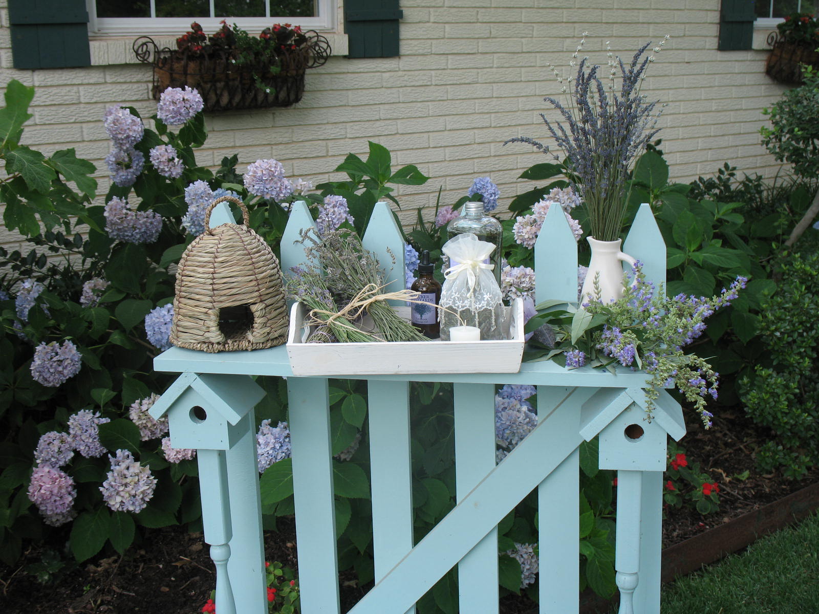 Miss Bloomers : Lavender Farm & Vignette