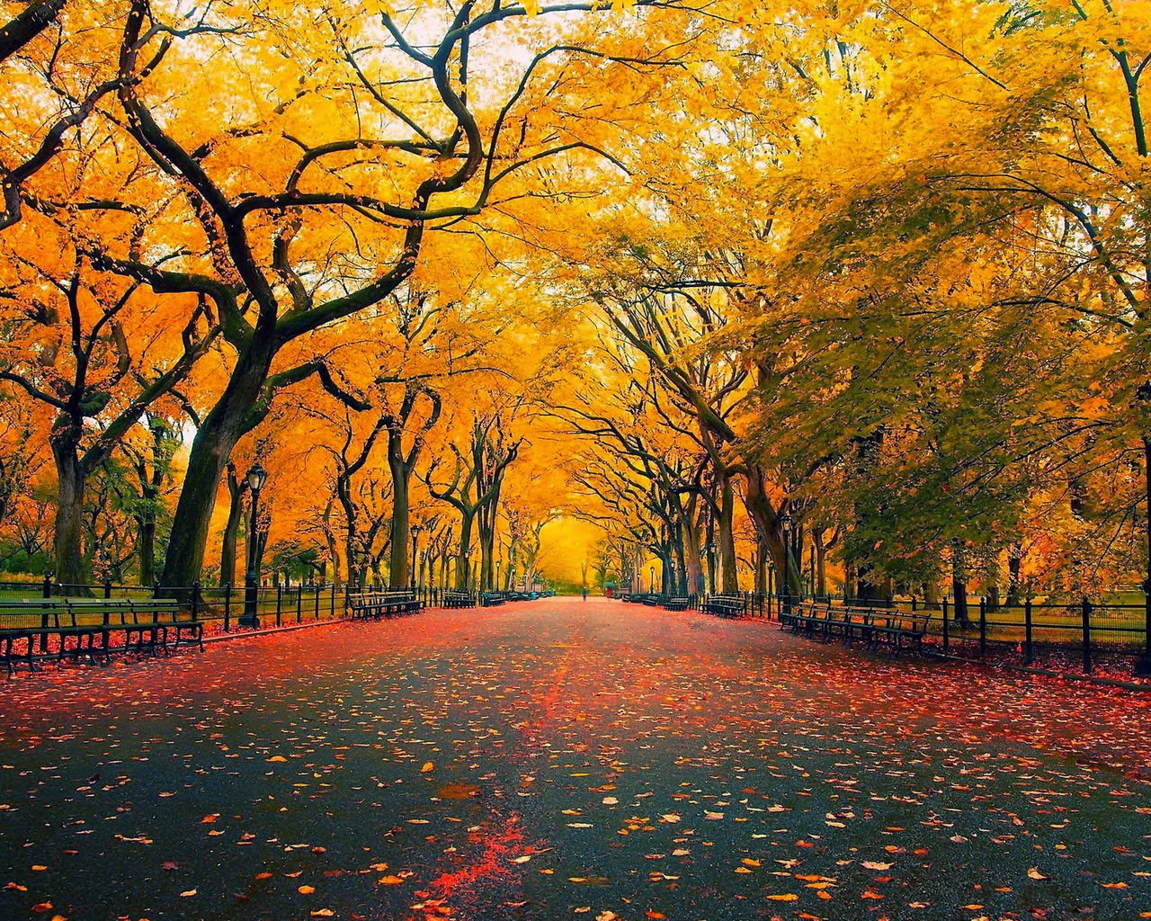 Bo Hinh Nen May Tinh Full Hd P Hinh Nen May Tinh Dep Nhat Images | My ...