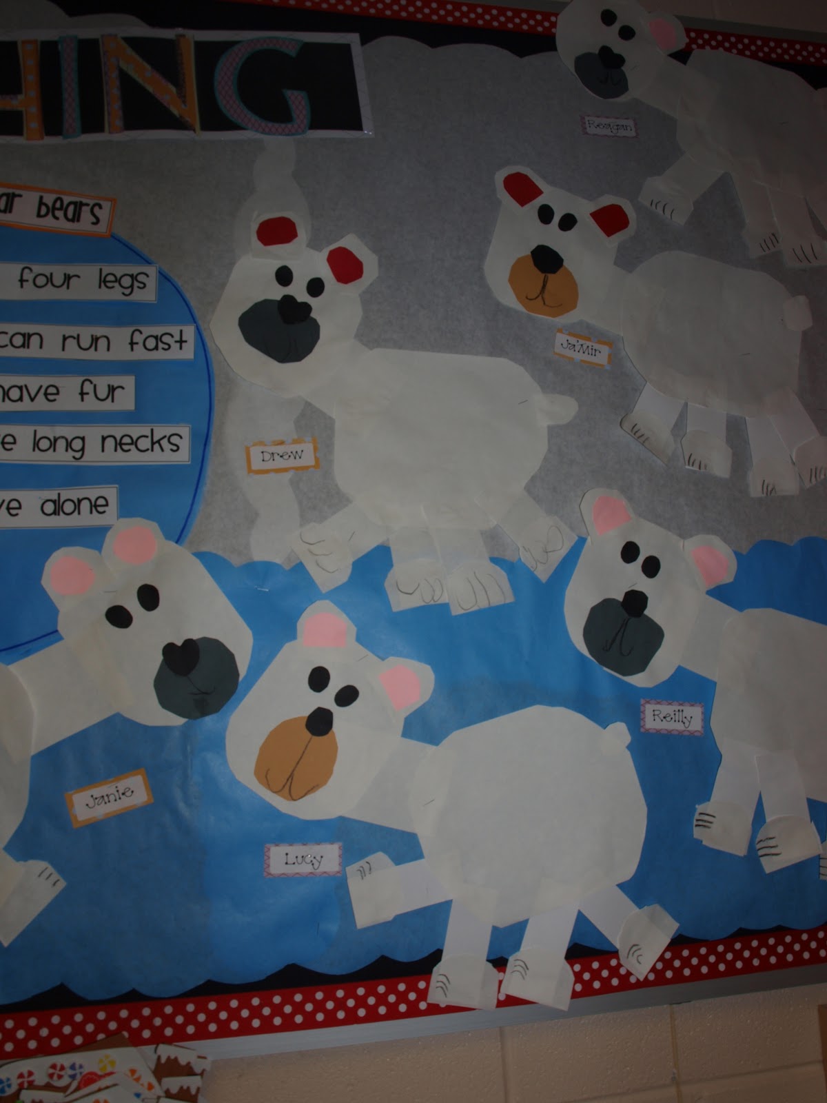 Arctic Animals Polar Bears and Walruses lesson plan ideas