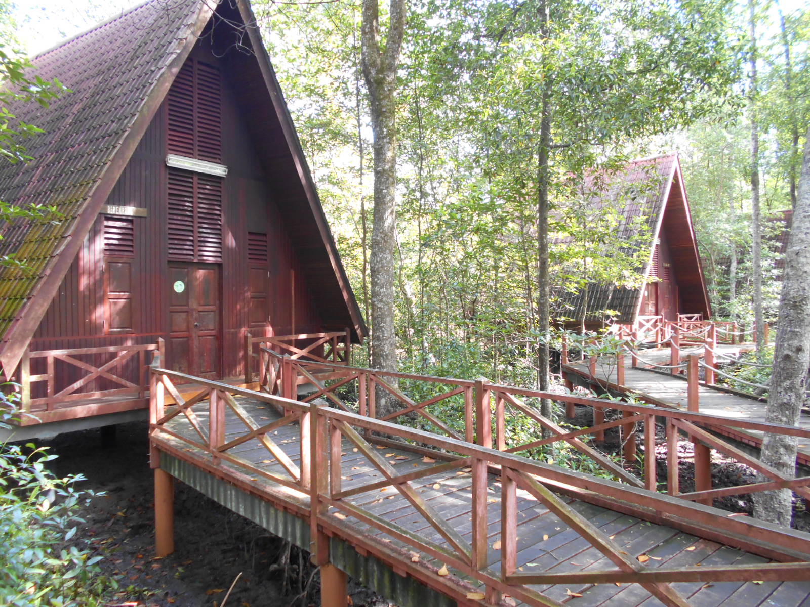 ini cherita the legend: Eco-Tourism: Hutan Paya Bakau Matang, Perak