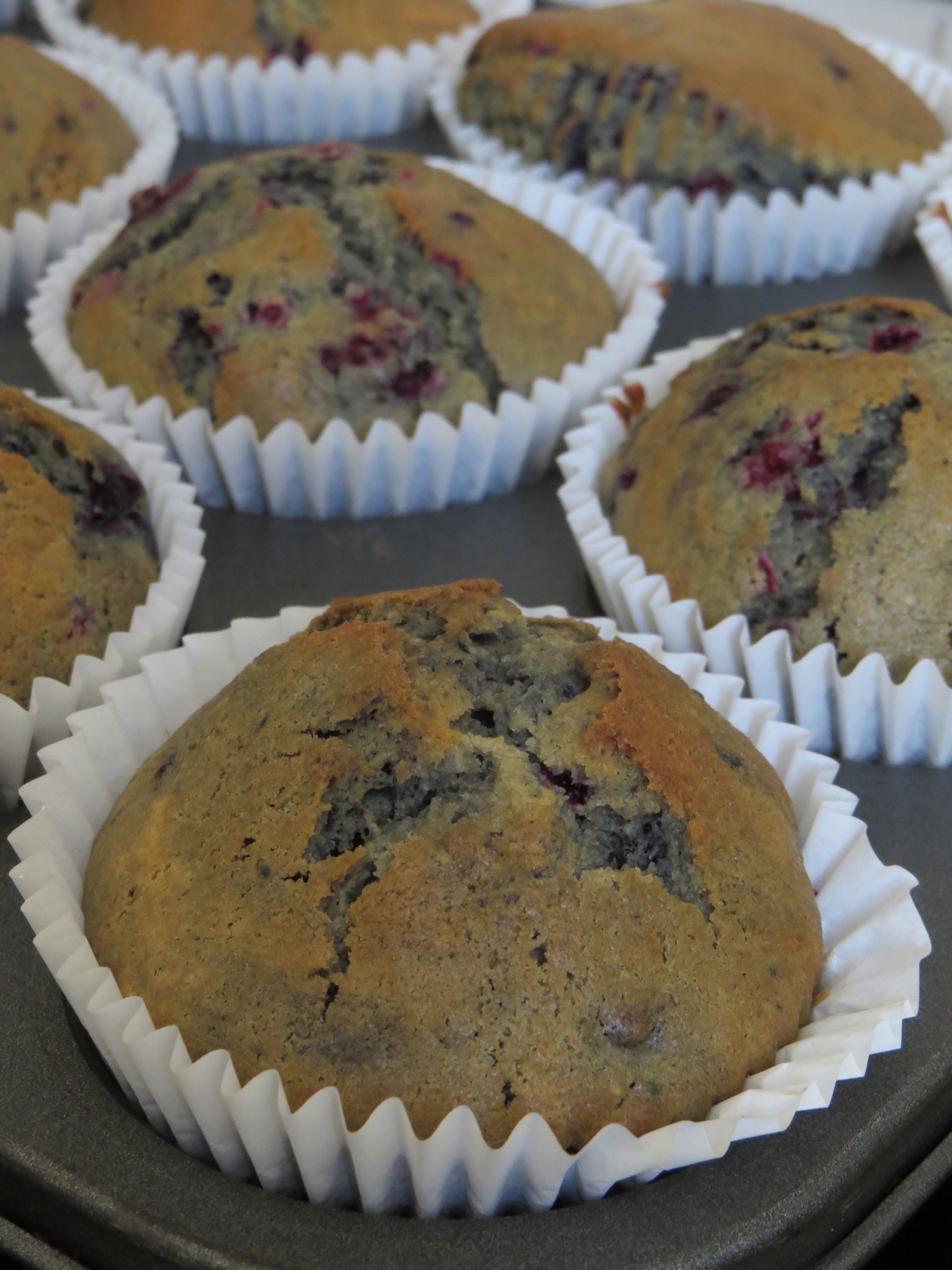 Ragged Robin's Nature Notes: Recent Reading and Elmdon Manor NR and ...