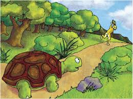 The Rabbit and The Turtle Race..