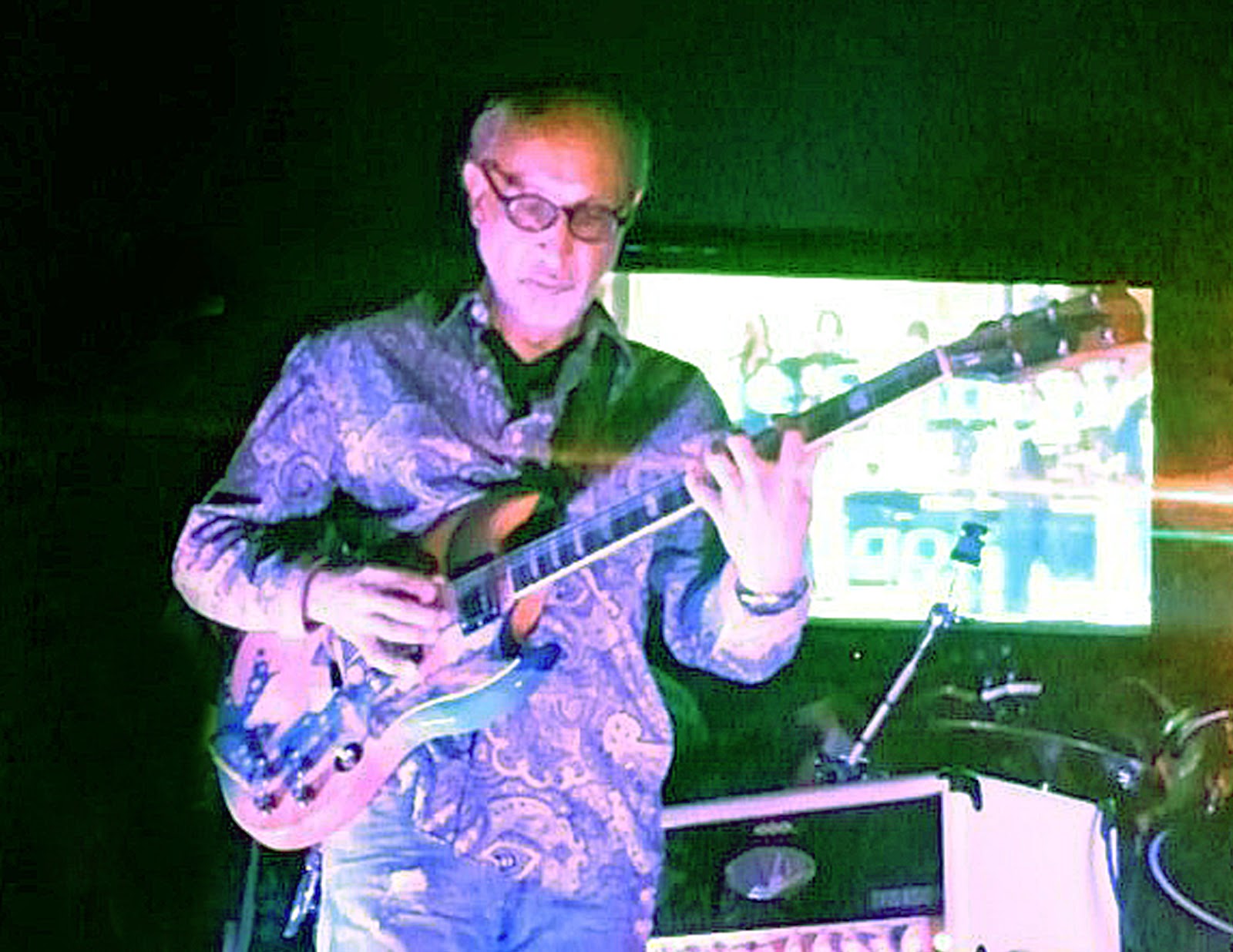 The Fool Guitar: 2014