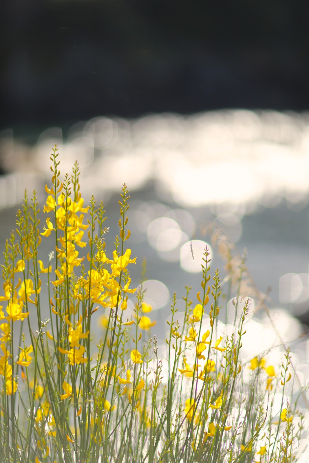 luca lancieri: The First Maratea Photo Tour Challenge: The Diary