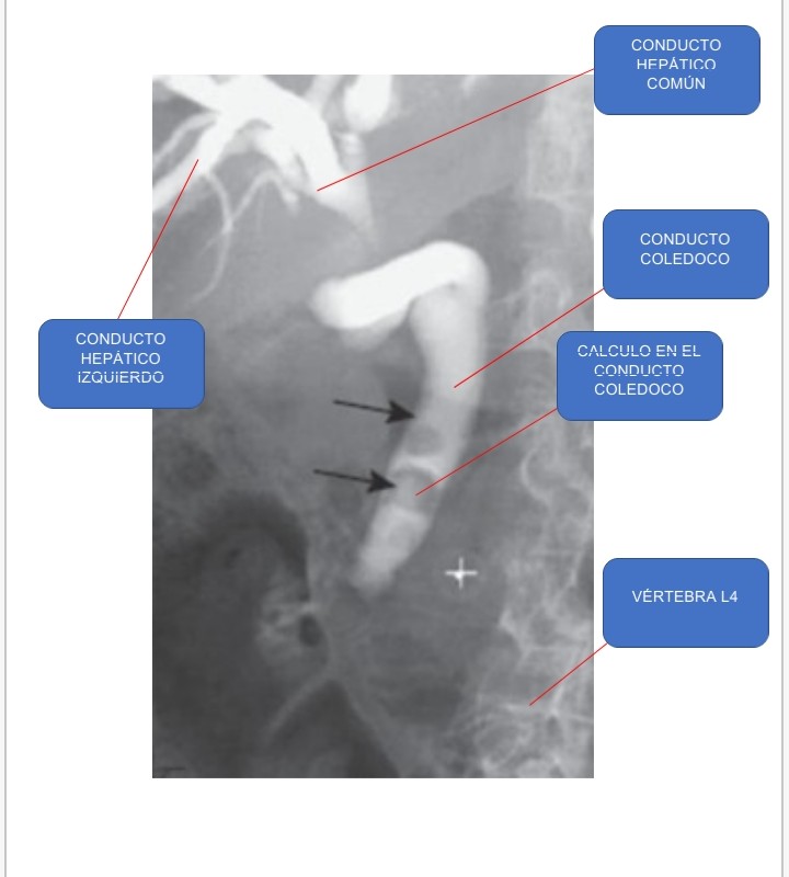 PROTOCOLOS ESTUDIOS ESPECIALES EN IMAGENOLOGIA: PROTOCOLOS- ESTUDIOS ...