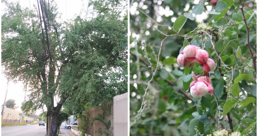 Ningún lugar está lejos... en RD: En la ciudad, nadie se mata por comer ...