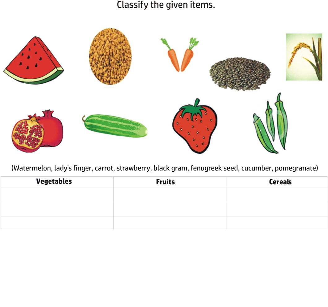 worksheets: Classify The Given Items worksheets: Classify The Given Items