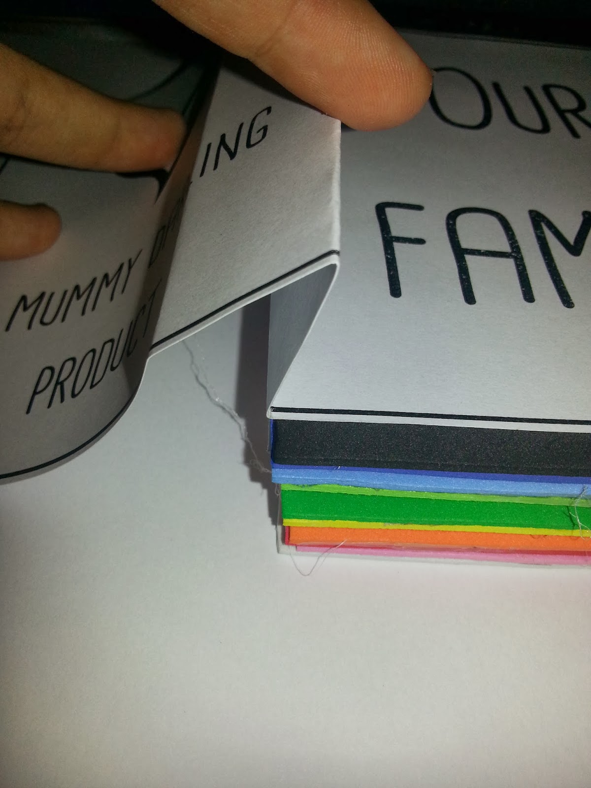 Mummy Darling Precious Petal: DIY Lift the flap kids book