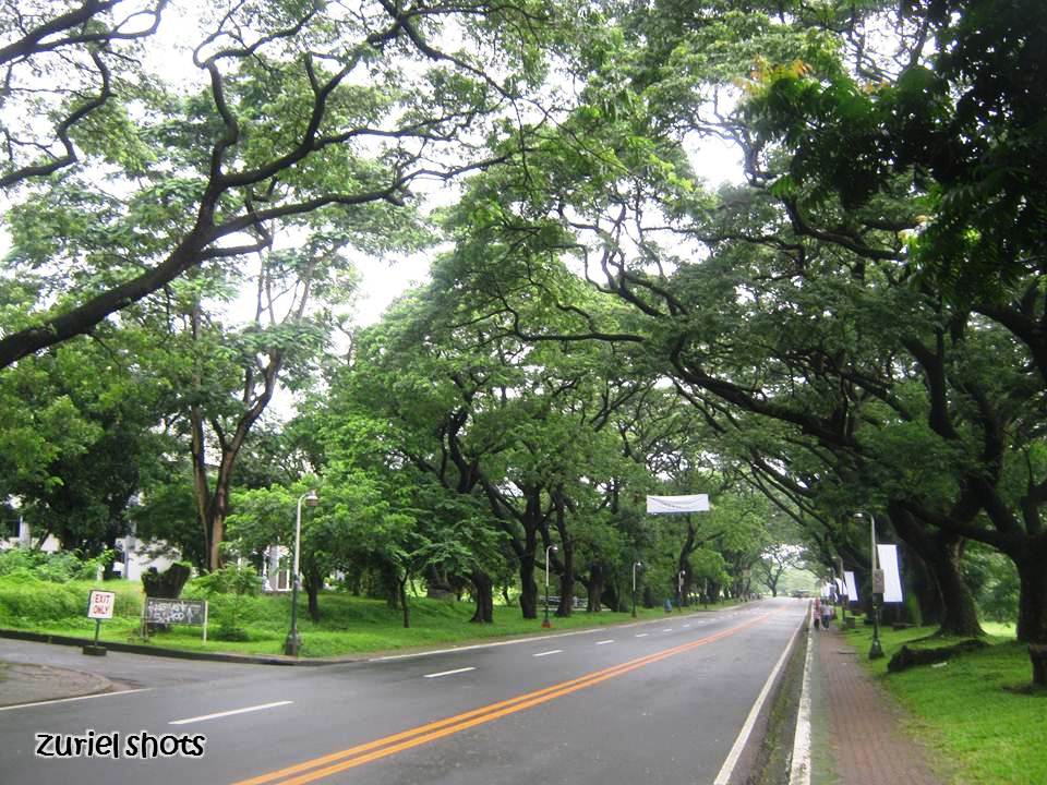 Zuriel Shots: UP Sunken Garden
