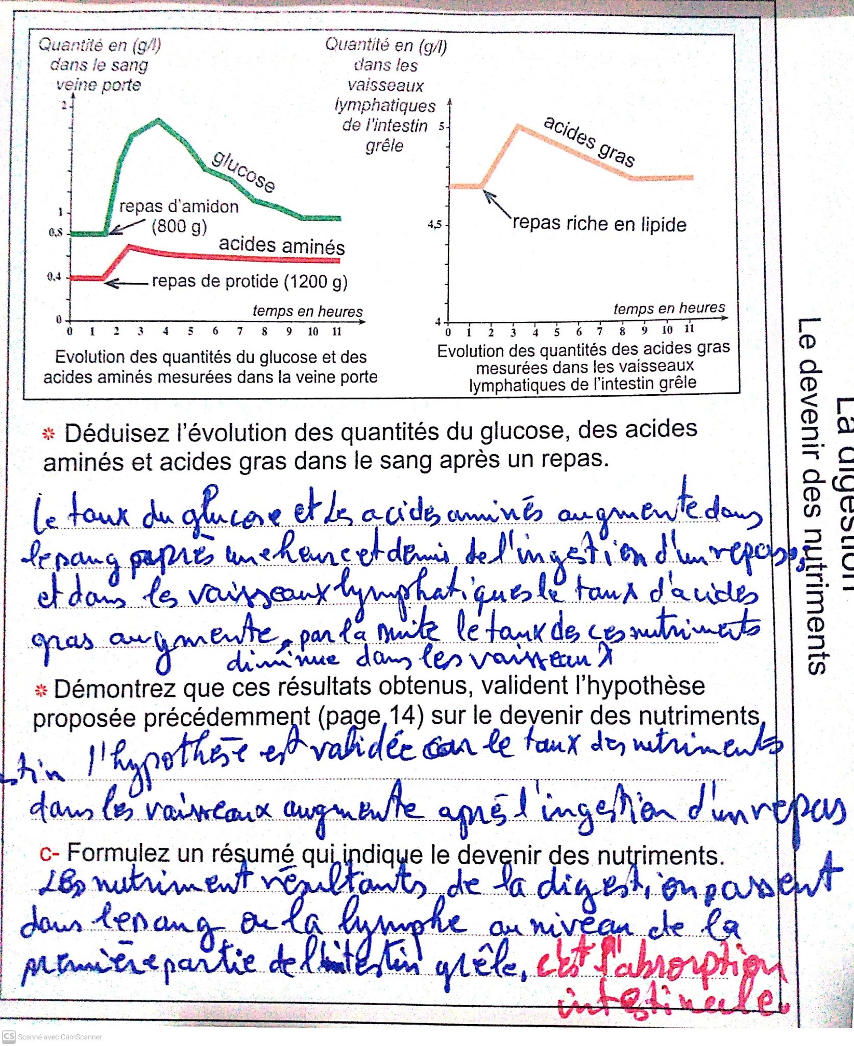 la digestion des aliment et l’absorption des nutriments