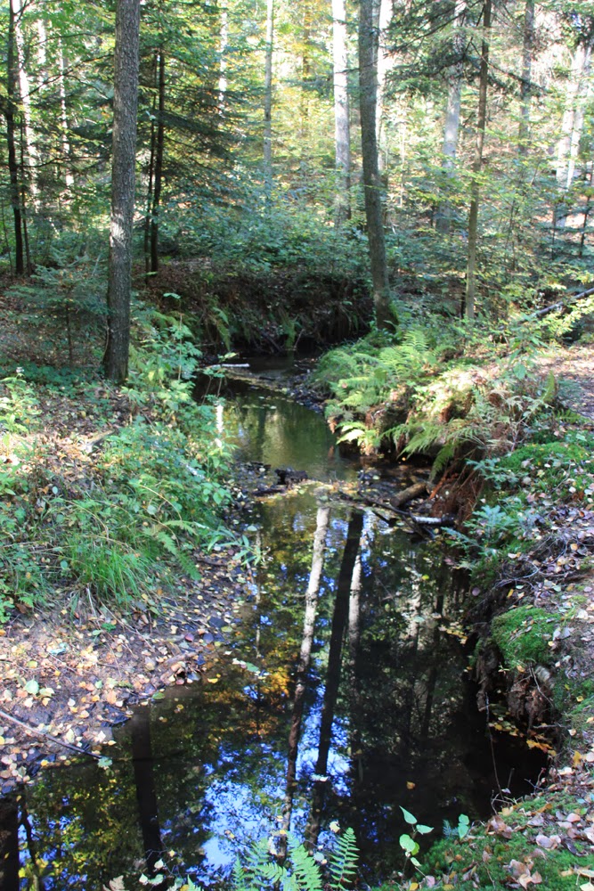 Świętokrzyskie Włóczęgi : Święta, święta, święta - ziemia, co nas nosi*