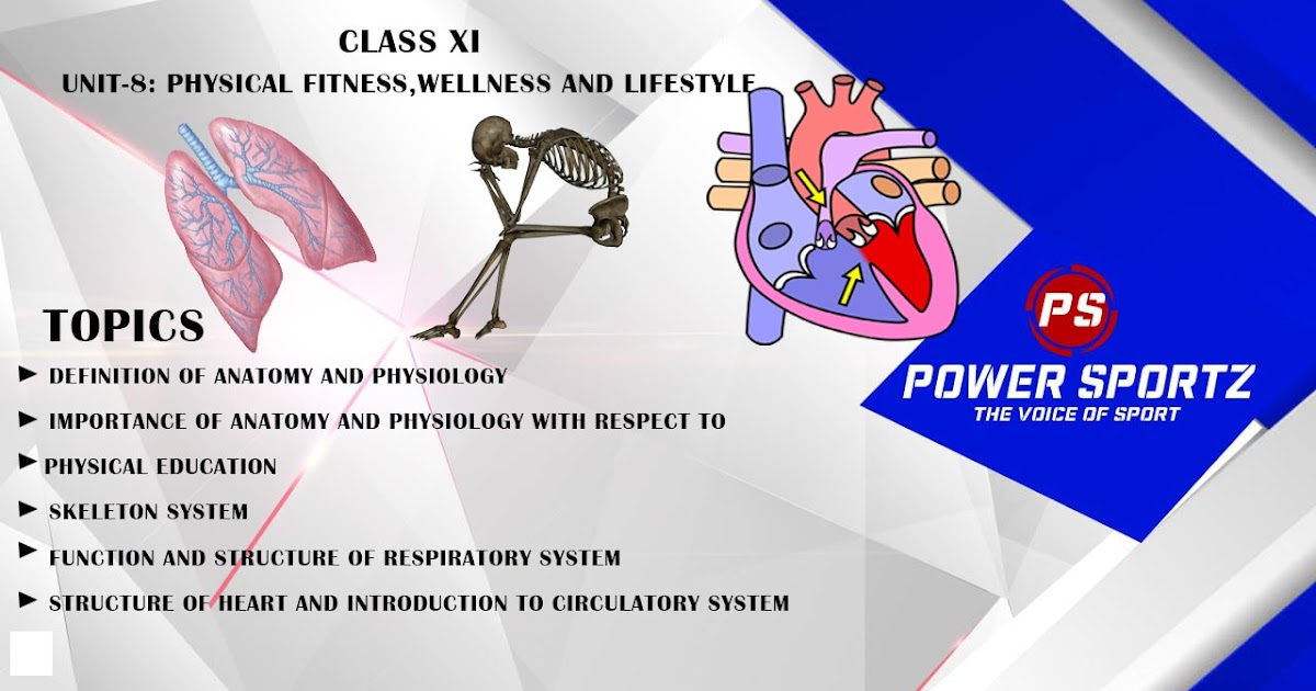 NCERT Notes For Fundamentals Of Anatomy And Physiology Class 11 PhE ncert-notes-for-fundamentals-of-anatomy-and-physiology-class-11-phe