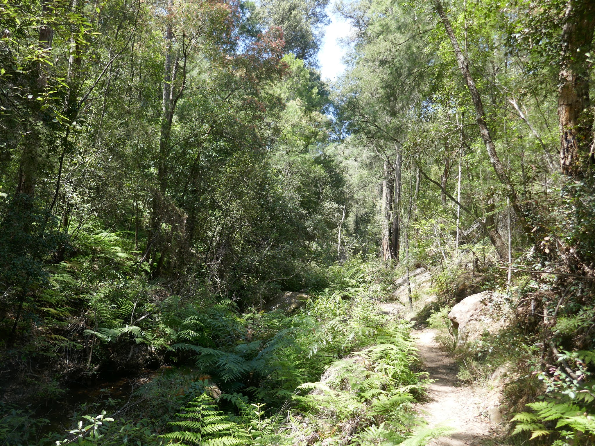 All The Gear But No Idea: Mount Portal, Red Hands Cave & Glenbrook Gorge