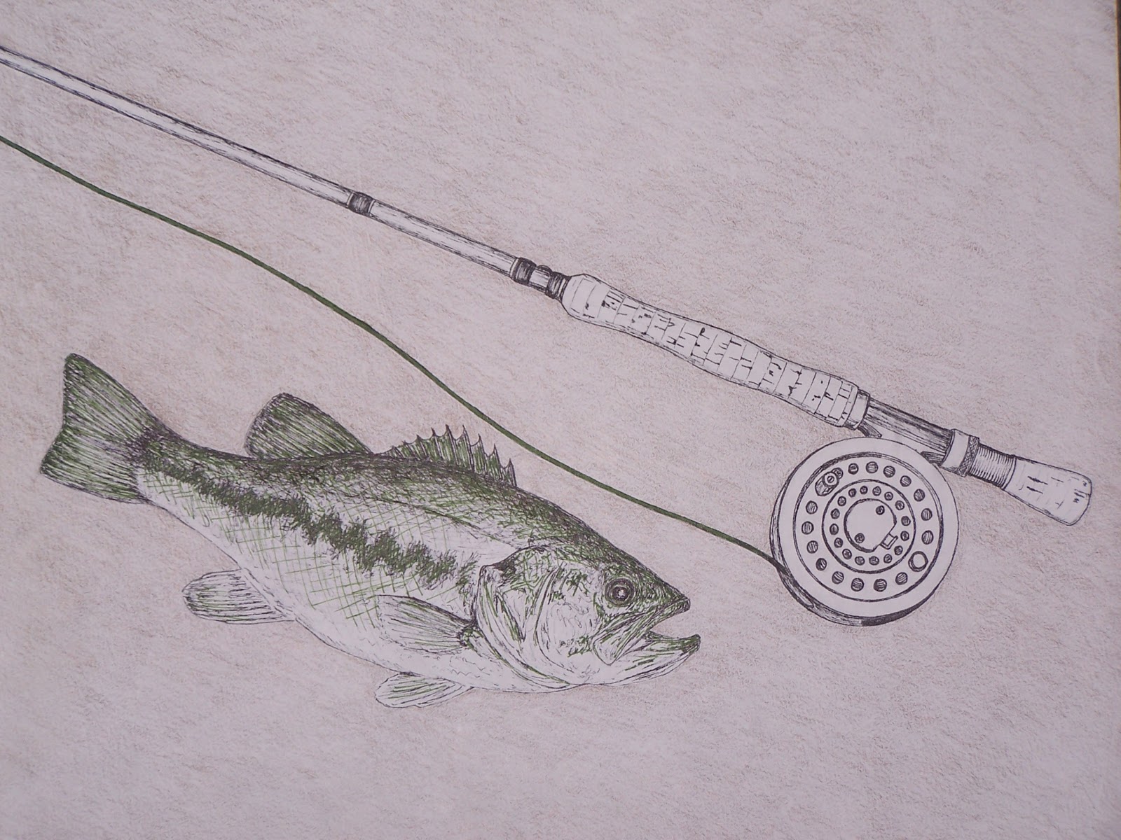 The Naturalist's Art: Fish #2 Largemouth Bass