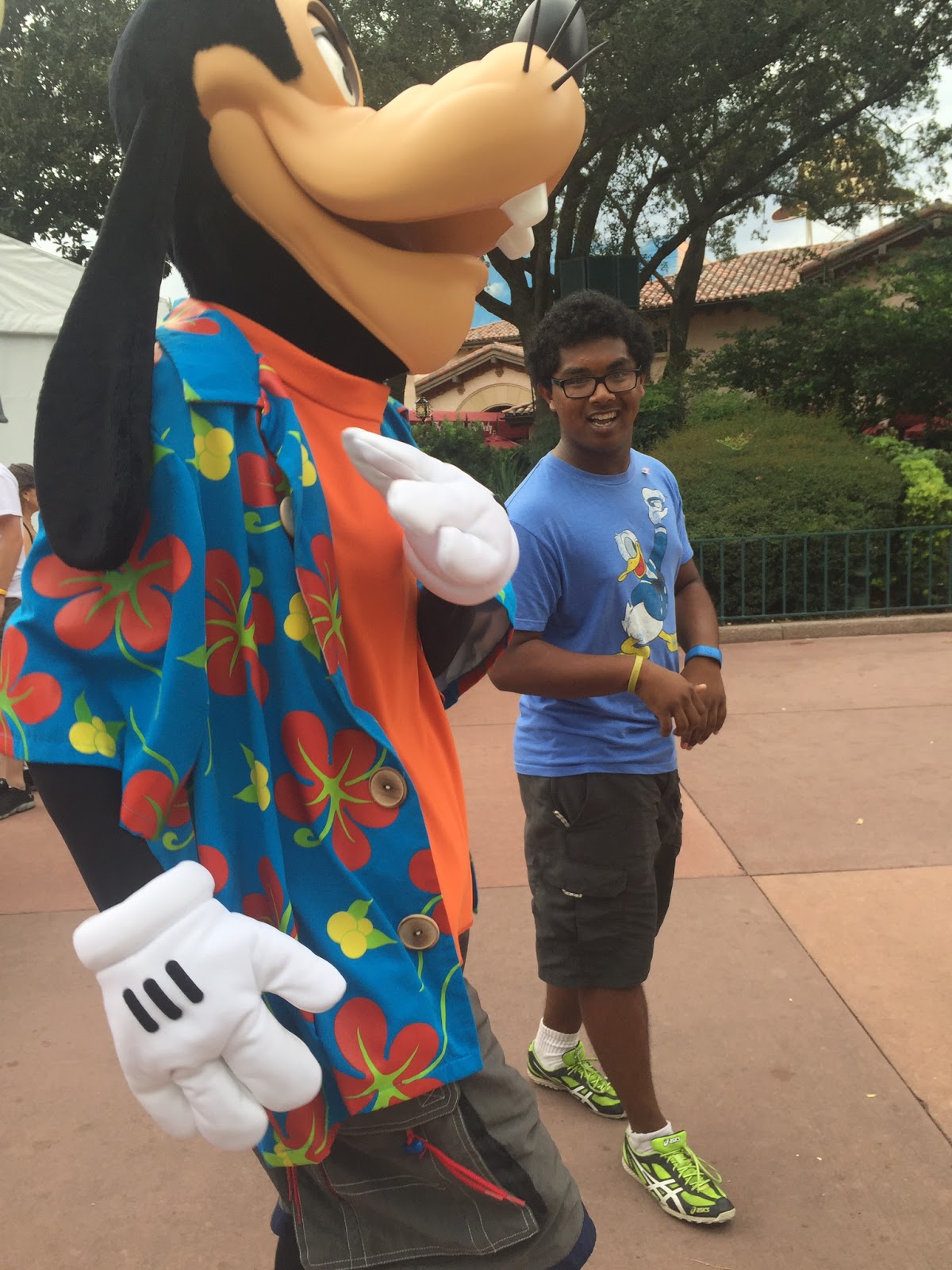 Sorcerer Lito's Ultimate Disney Blog: Goofy