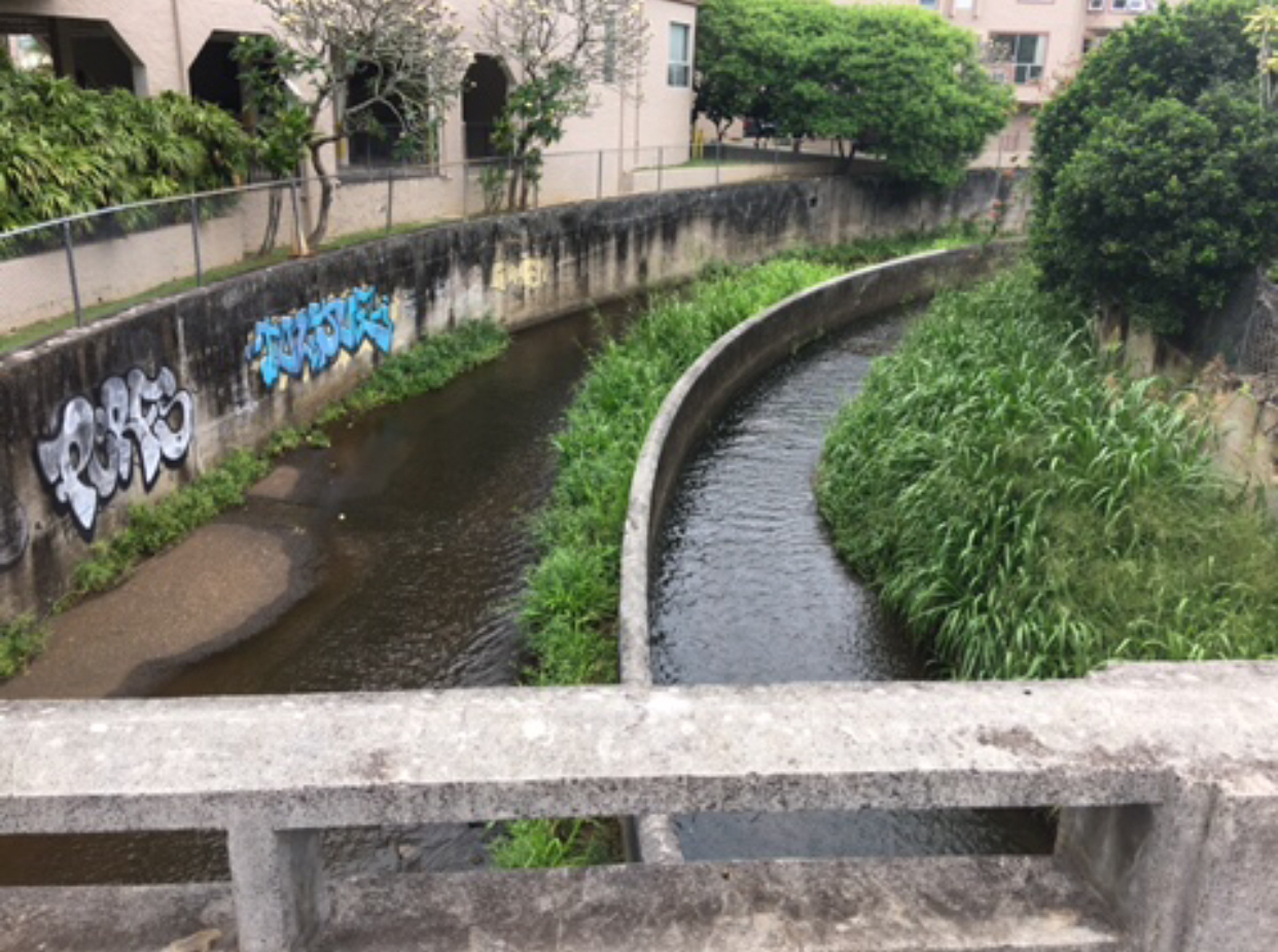 Waihi, Manoa Streams and flood-control ideas