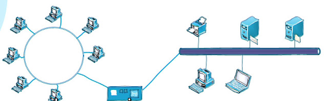 Les composants physiques d'un réseau - Techno Help