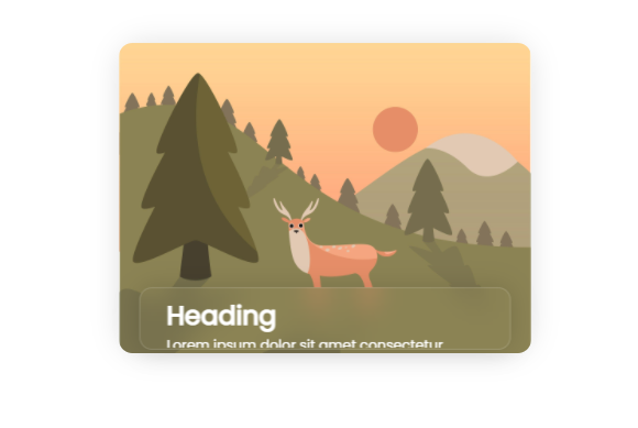 Image Hover Effect Using HTML & CSS