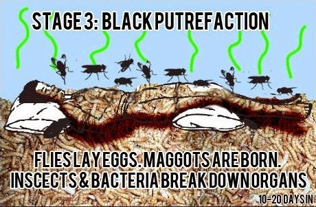 Mystique Earth: The bodies of Saints that defies the process of ...