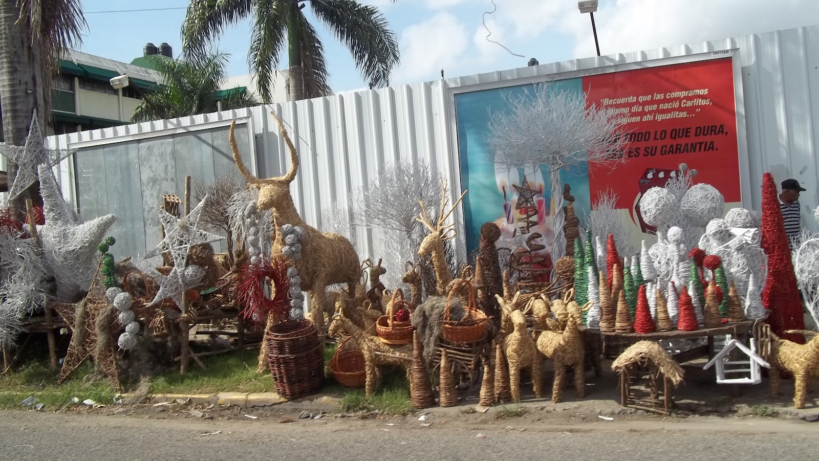 Elder and Sister Snow: Christmas in the Dominican Republic
