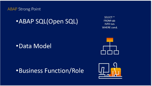 Do you know ABAP as a Programing Language?