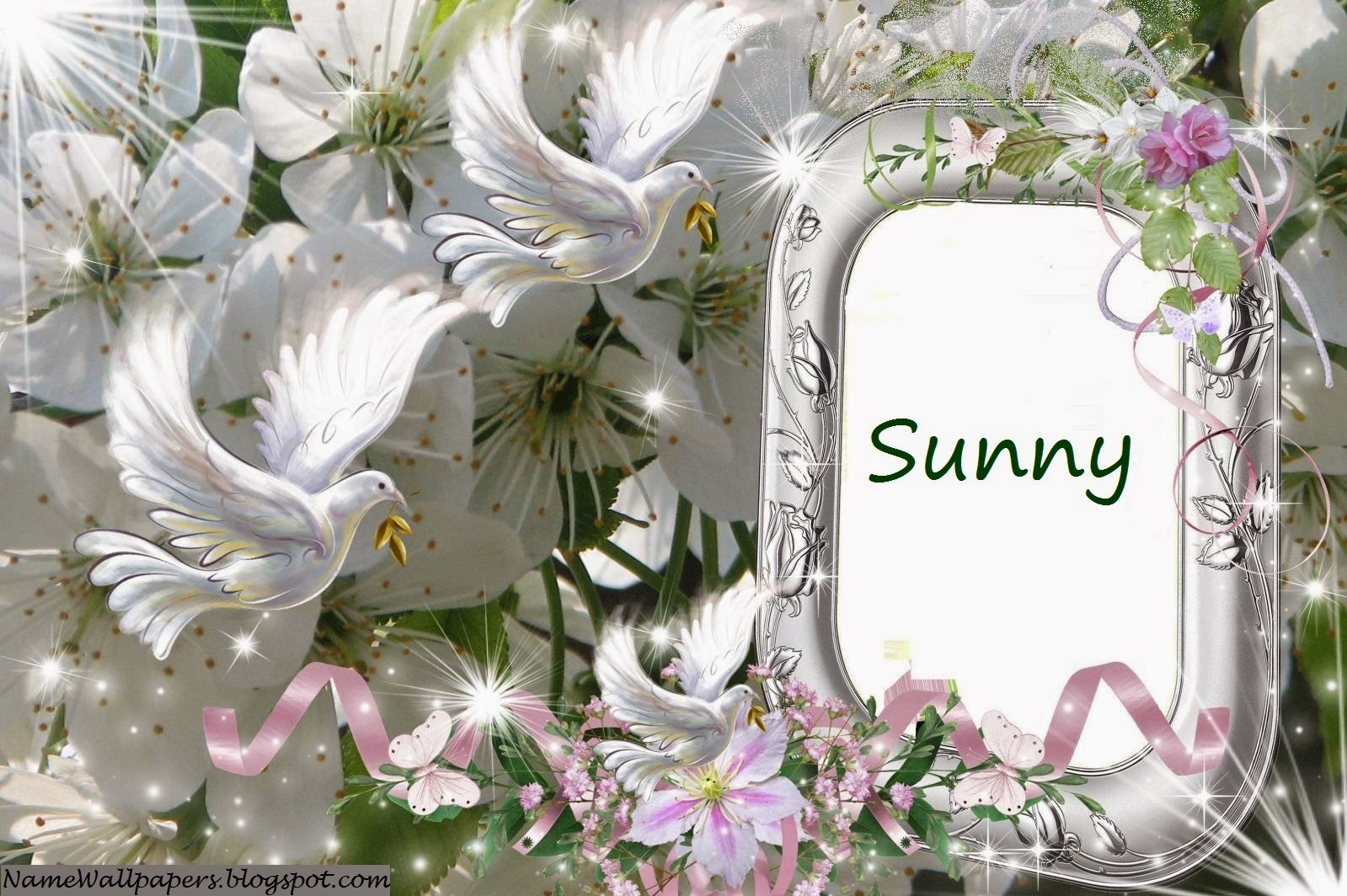 Sunny Name Wallpapers Sunny ~ Name Wallpaper Urdu Name Meaning Name ...